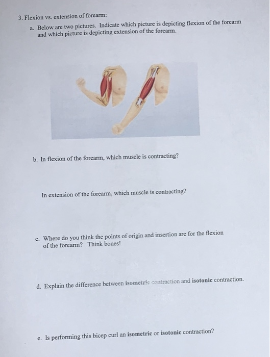 Flexion Vs Extension