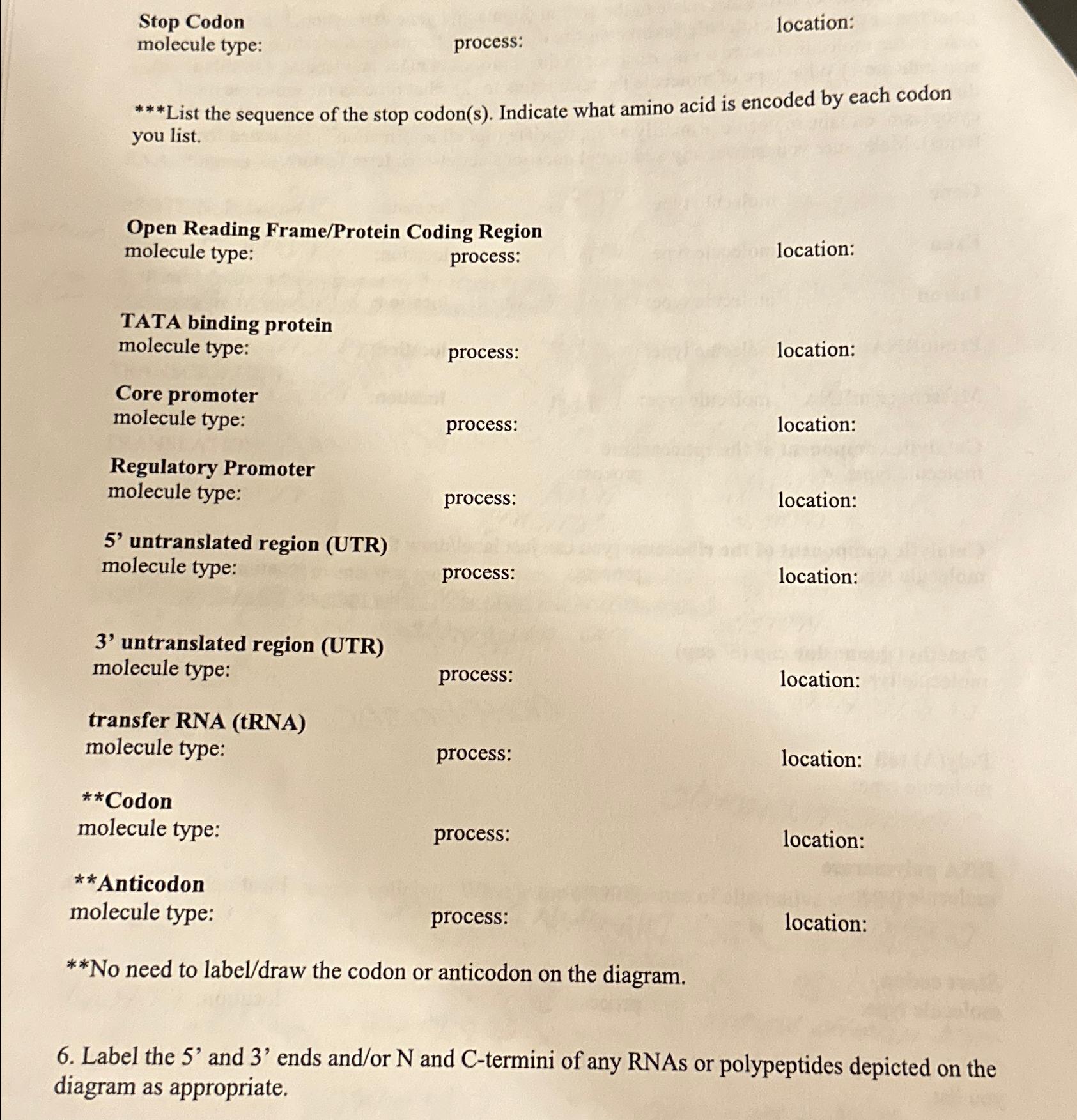 Solved Stop Codonlocation:molecule type:process:***List the | Chegg.com