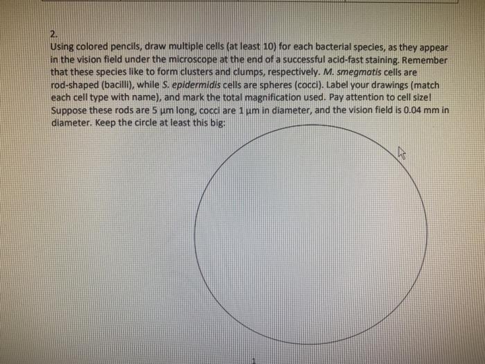 Solved 2. Using colored pencils, draw multiple cells (at | Chegg.com