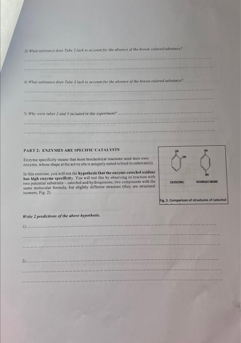 Catechol and catecbot oxidase are preseot it ihe | Chegg.com