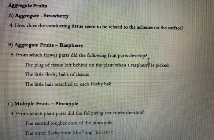 Solved Aggregate Fruits A) Aggregate - Strawberry 4. How | Chegg.com
