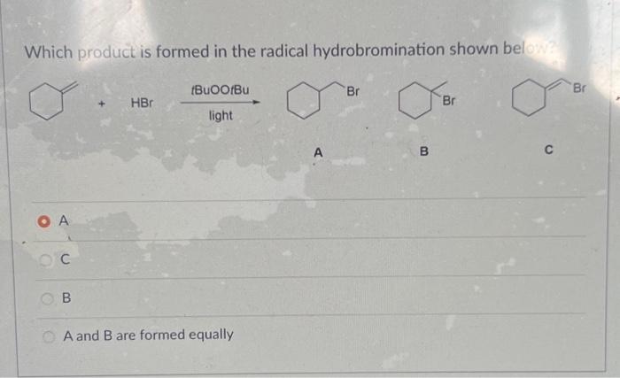 Solved Which product is formed in the radical | Chegg.com