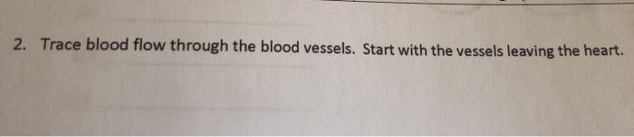Solved 2. Trace blood flow through the blood vessels. Start | Chegg.com