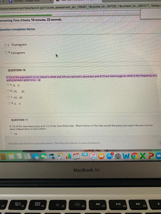 Solved Genetics - GOO DO bapps/assessment | Chegg.com