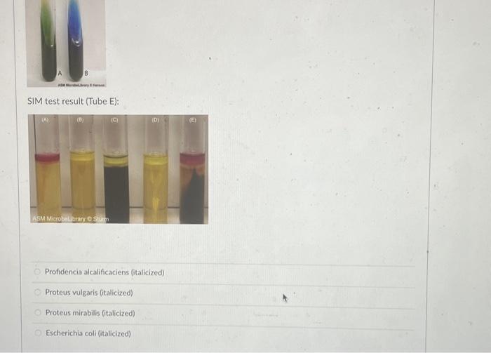 Solved You perform several tests on an unidentified | Chegg.com