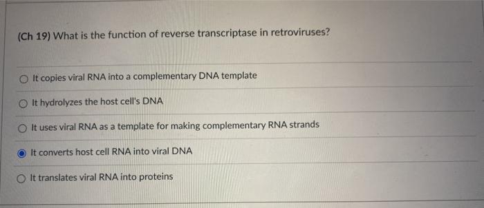 Solved (Ch 19) What is the function of reverse transcriptase | Chegg.com