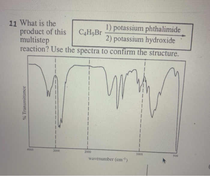 Solved 11 What is the 1) potassium phthalimide product of | Chegg.com