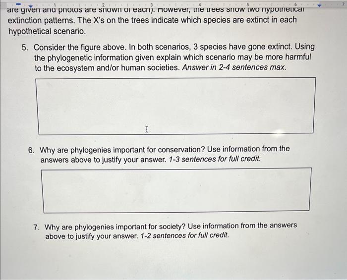 Solved Caption. A time-calibrated phylogeny showing the | Chegg.com