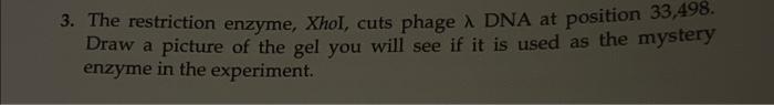 Solved 3. The restriction enzyme, XhoI, cuts phage λ DNA at | Chegg.com