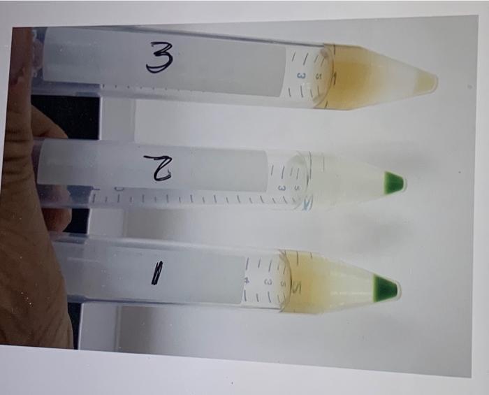 Solved 7. Are giant micelles able to solubilize membranes | Chegg.com