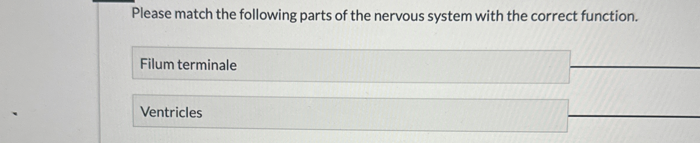 Solved Please match the following parts of the nervous | Chegg.com