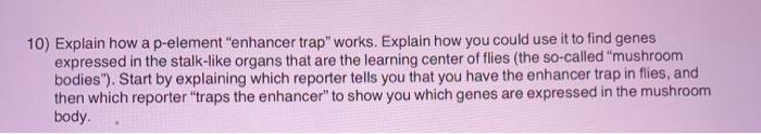 Solved 10) Explain how a p-element "enhancer trap" works. | Chegg.com