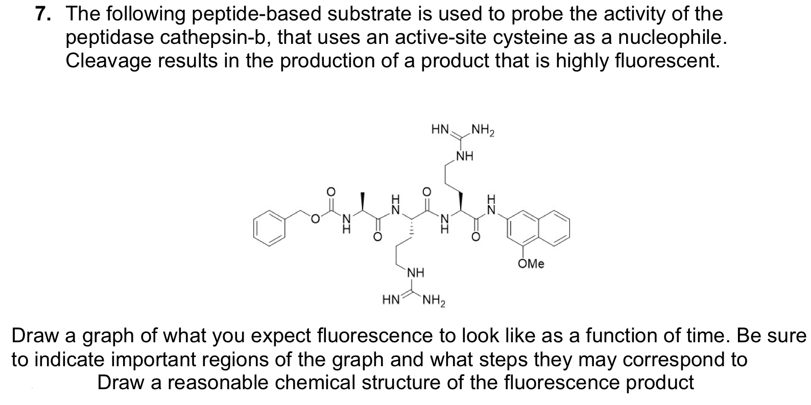 Solved 7. ﻿The following peptide-based substrate is used to | Chegg.com