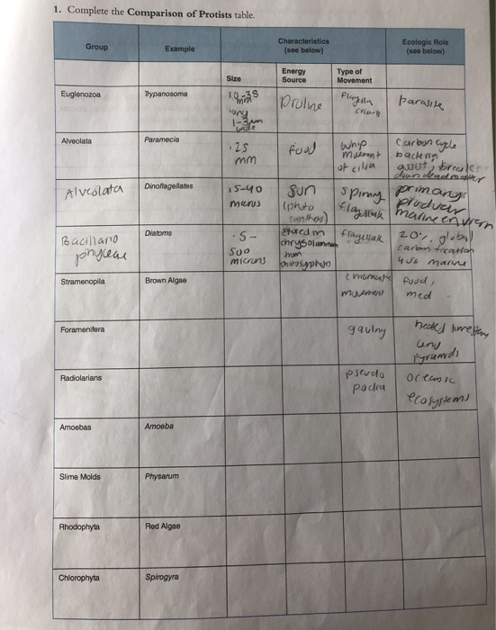 Solved 1. Complete the Comparison of Protists table. Group | Chegg.com