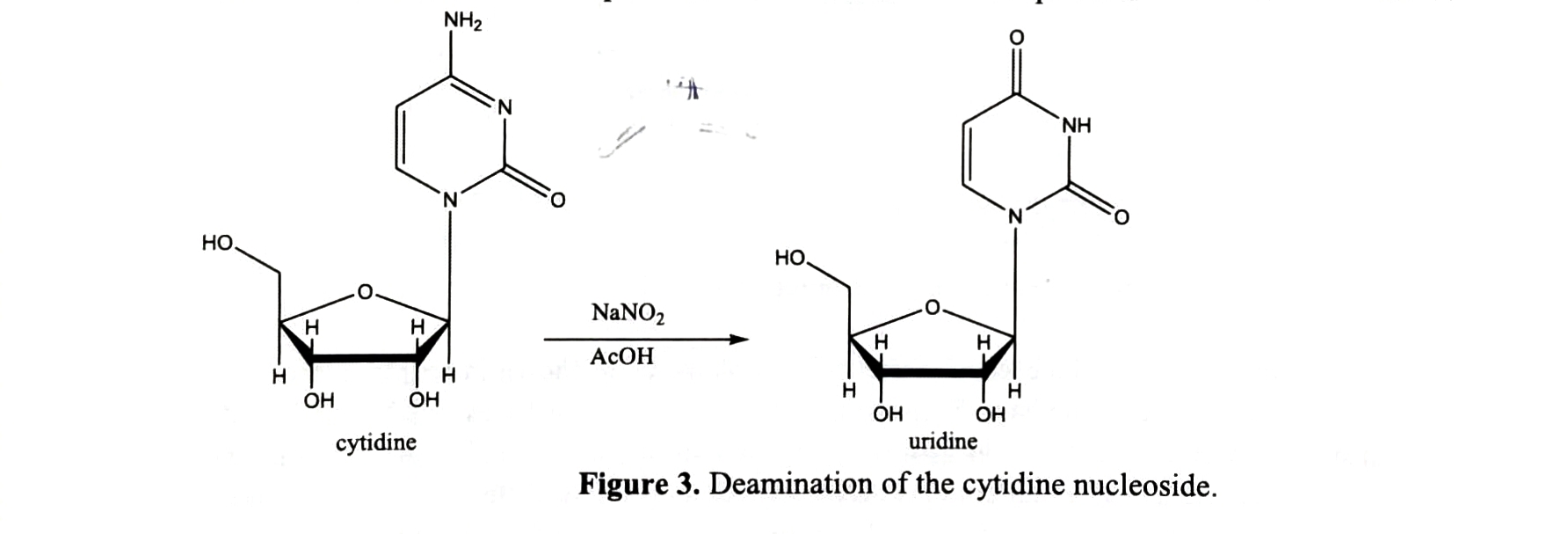 Solved Please DRAW the following mechanism: Deamination of | Chegg.com