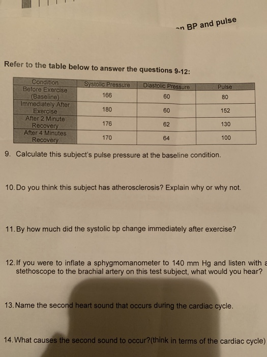 Solved Cardiovascular Physiology Lab Worksheet Work in | Chegg.com
