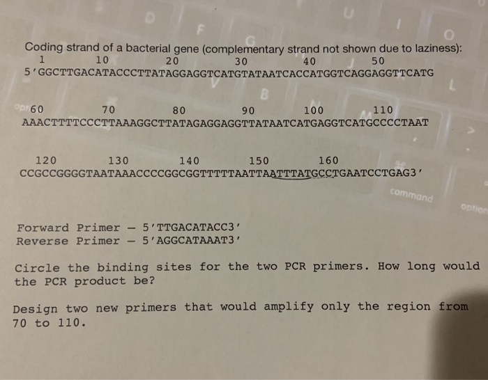 Solved Coding strand of a bacterial gene (complementary | Chegg.com