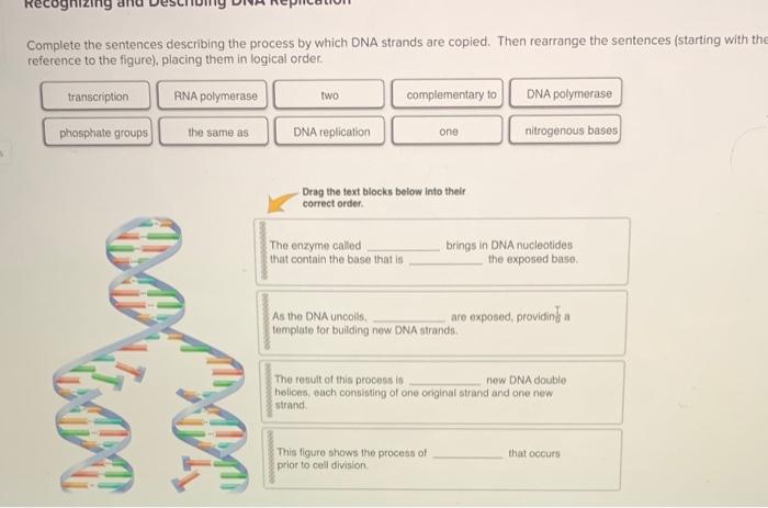 Solved Recogniz Complete the sentences describing the | Chegg.com
