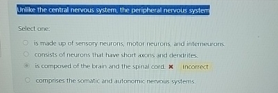 Solved Unlike the central nervous system, the peripheral | Chegg.com