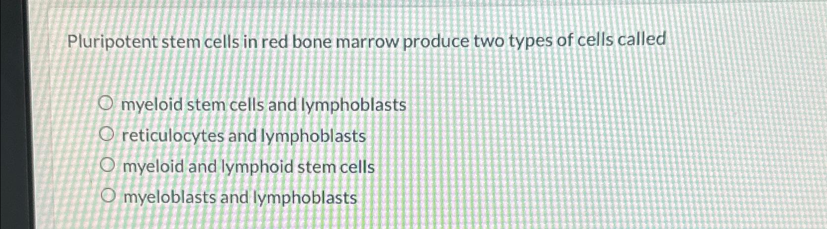 Solved Pluripotent stem cells in red bone marrow produce two | Chegg.com
