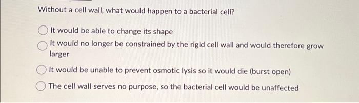 Solved Without a cell wall, what would happen to a bacterial | Chegg.com