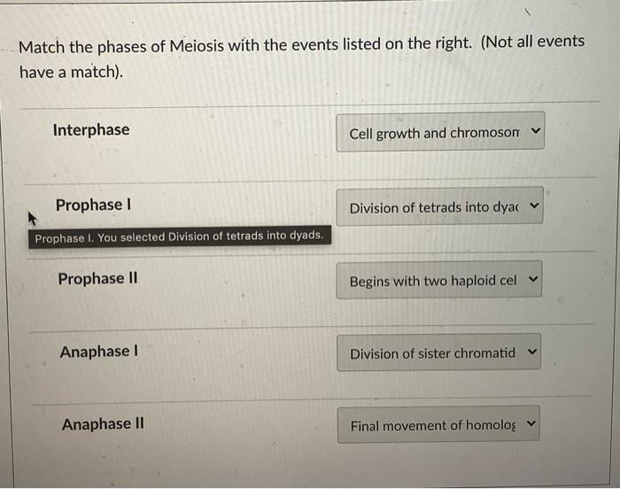 Solved Match the phases of Meiosis with the events listed on | Chegg.com