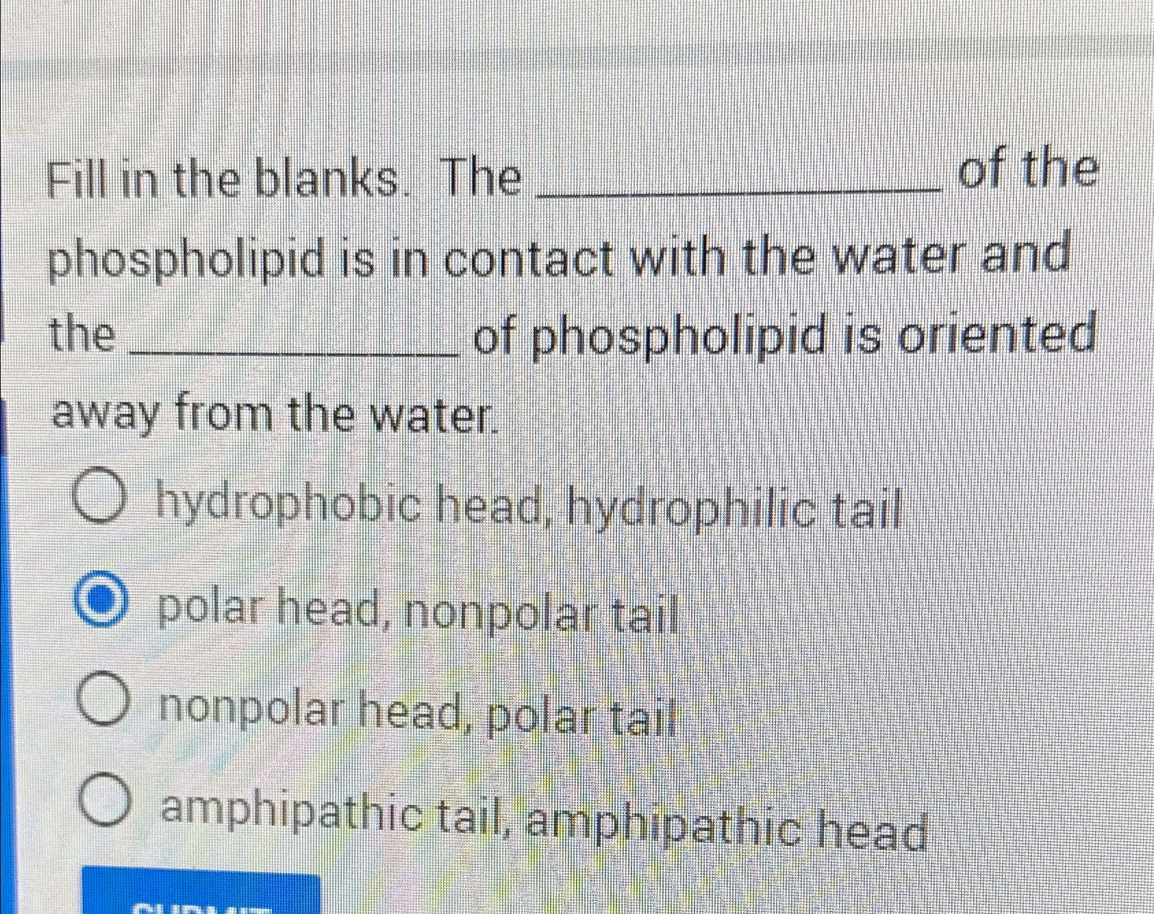 Solved Fill in the blanks. The of the phospholipid is in | Chegg.com