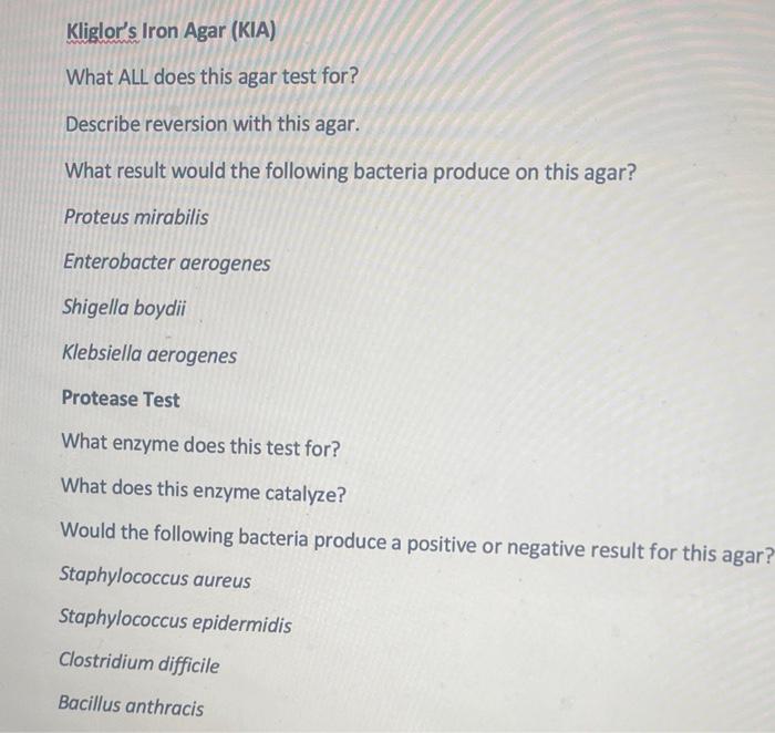Solved Kliglor's Iron Agar (KIA) What AlL does this agar | Chegg.com