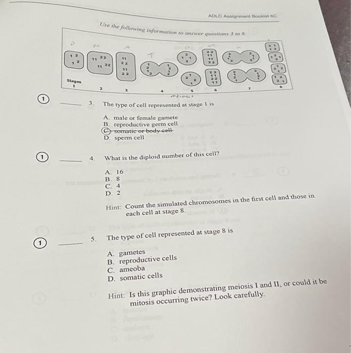 Solved 3. The type of cell represented at stage 1 is A. male | Chegg.com