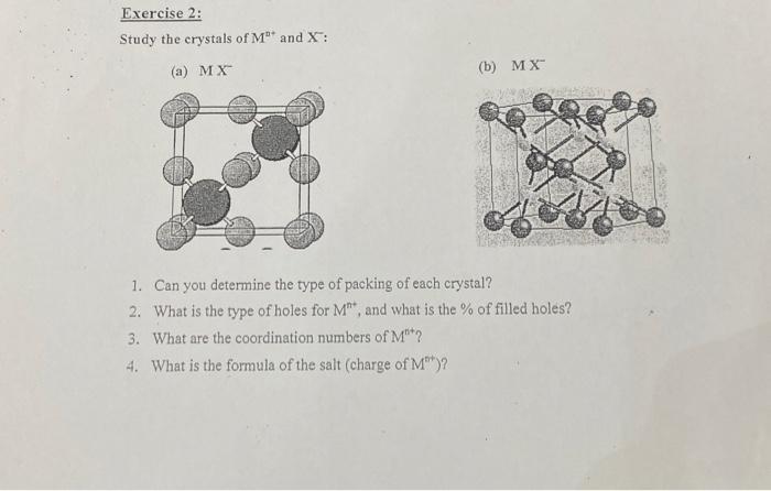 Solved Study the crystals of Mnt and X : (a) MX (b) MX− 1. | Chegg.com