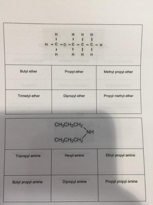 Solved Procedure and Questions 1. Indicate Correct for the | Chegg.com