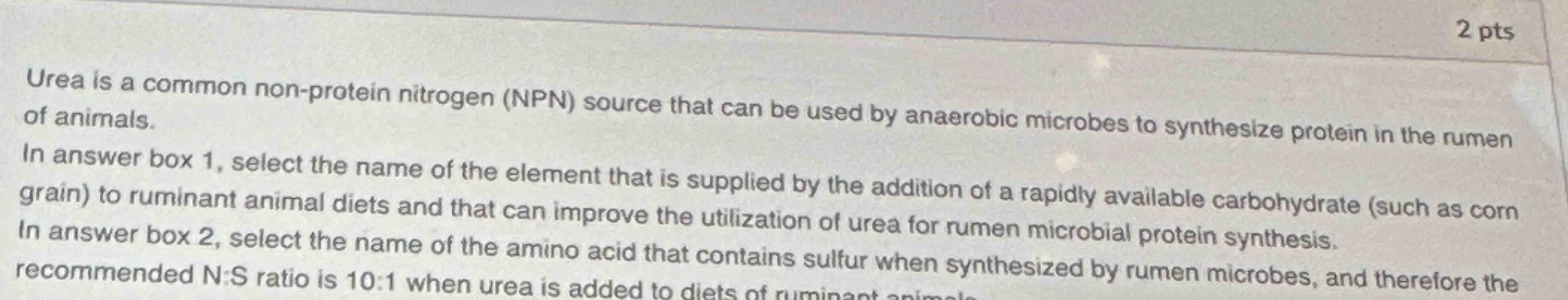 Solved Urea is a common non-protein nitrogen (NPN) ﻿source | Chegg.com