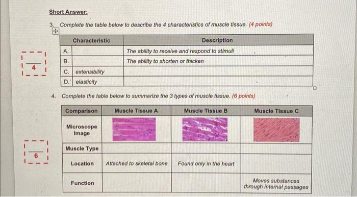 Solved 3. Complete the table below to describe the 4 | Chegg.com
