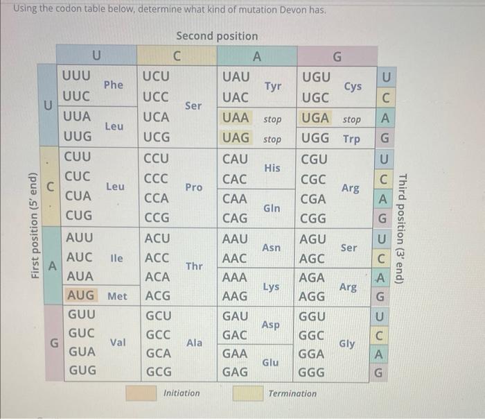 Solved A wild-type segment of DNA and one containing a | Chegg.com