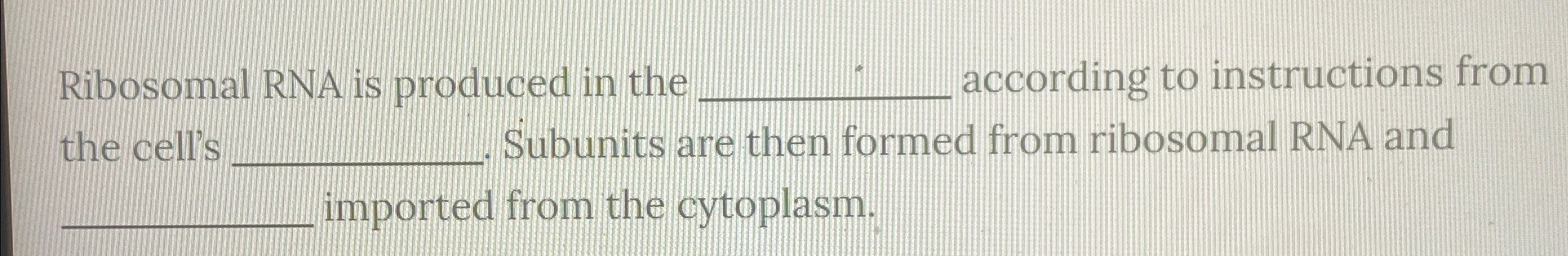Solved Ribosomal RNA is produced in the ﻿according to | Chegg.com