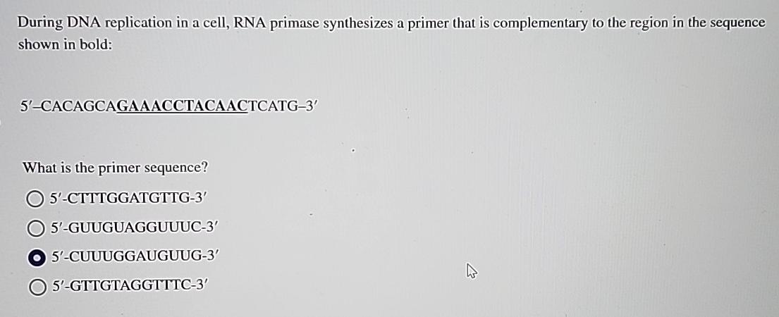 Solved During DNA replication in a cell, RNA primase | Chegg.com