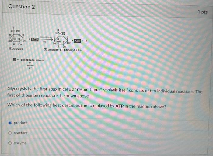 Solved Glycolysis is the first step in cellular respiration. | Chegg.com