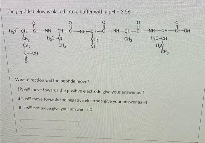 Solved The peptide below is placed into a buffer with a | Chegg.com