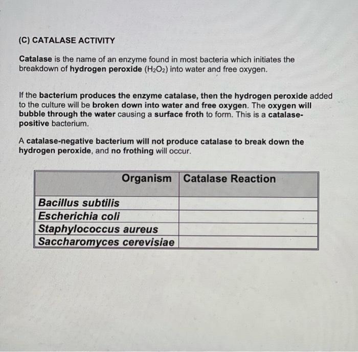 Solved (C) CATALASE ACTIVITY Catalase is the name of an | Chegg.com