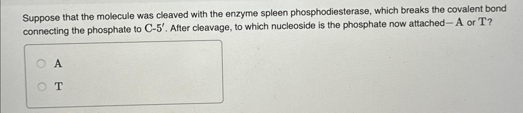 Solved Suppose that the molecule was cleaved with the enzyme | Chegg.com