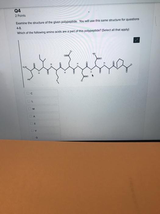 Solved Q4 2 Points Examine the structure of the given | Chegg.com