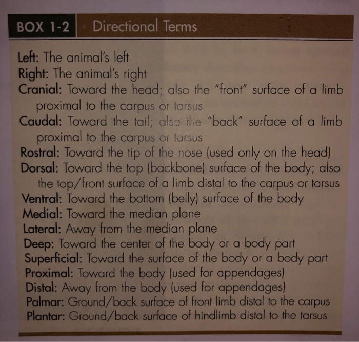 Solved BOX 1-3 Common Regional Terms Barrel: Trunk of the | Chegg.com