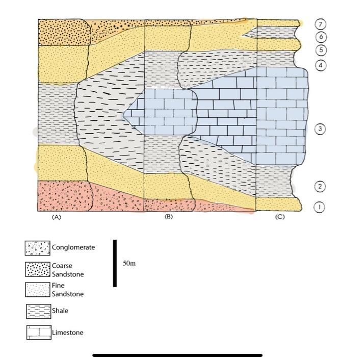 Solved Lab 6: Stratigraphy Correlation Exercise 1 You have | Chegg.com