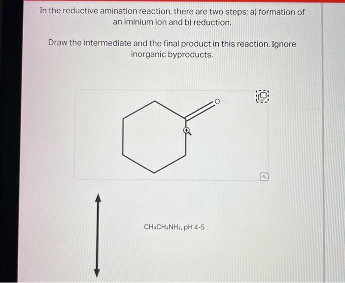 Solved In the reductive amination reaction, there are two | Chegg.com