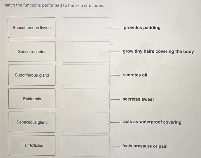 [Solved]: Match the functions performed to the skin structu