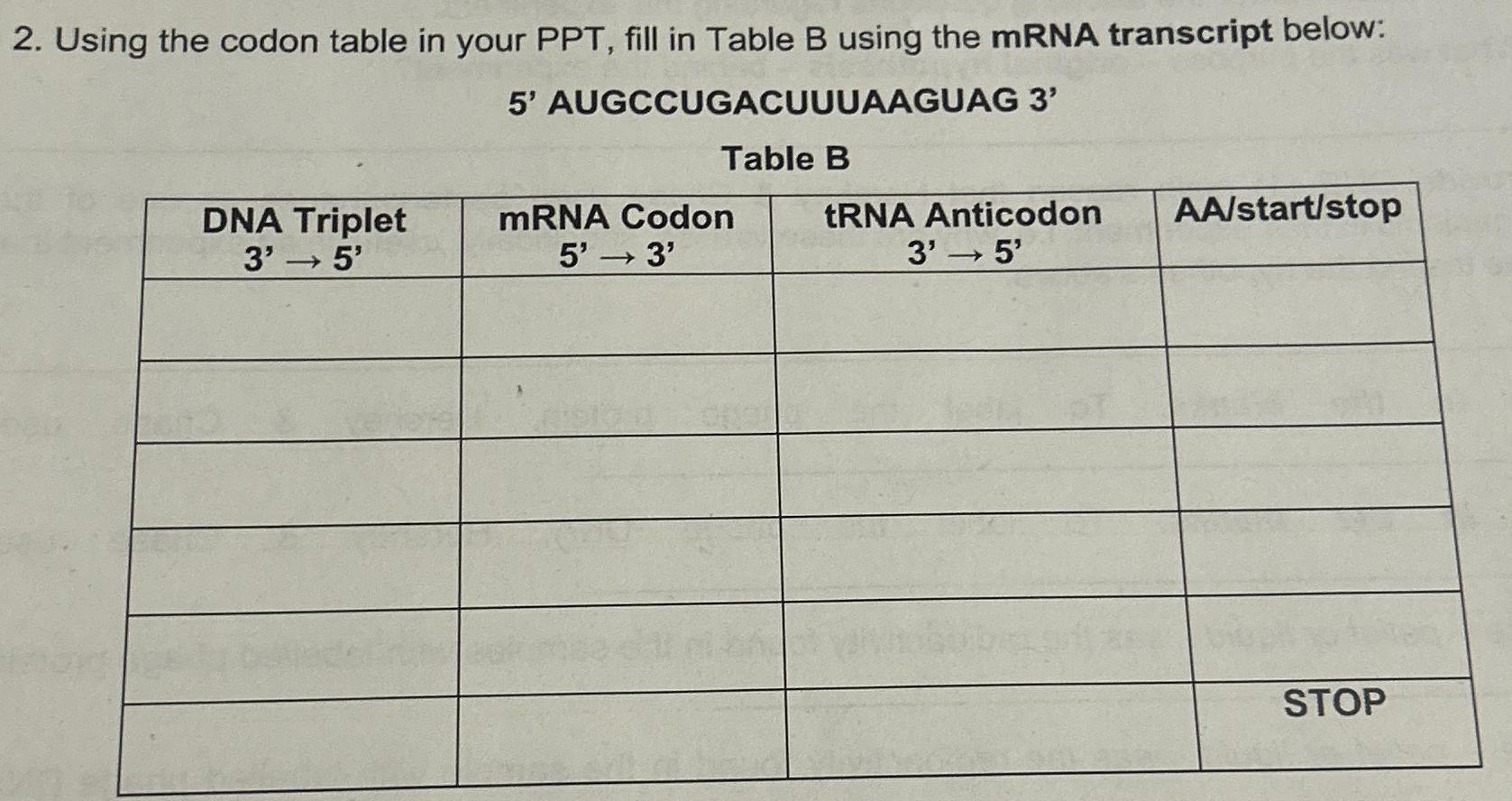 Solved Using the codon table in your PPT, ﻿fill in Table B | Chegg.com