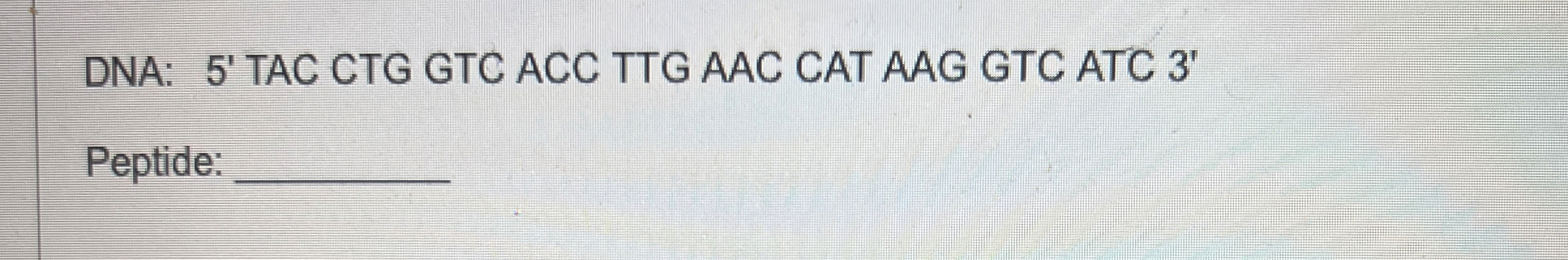 Solved DNA: 5 ' ﻿TAC CTG GTC ACC TTG AAC CAT AAG GTC ATC | Chegg.com