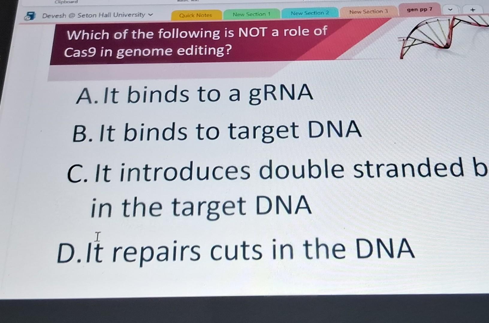 Solved A. It binds to a gRNA B. It binds to target DNA C. It | Chegg.com