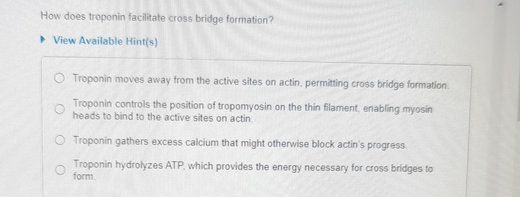 Solved How does troponin facilitate cross bridge | Chegg.com