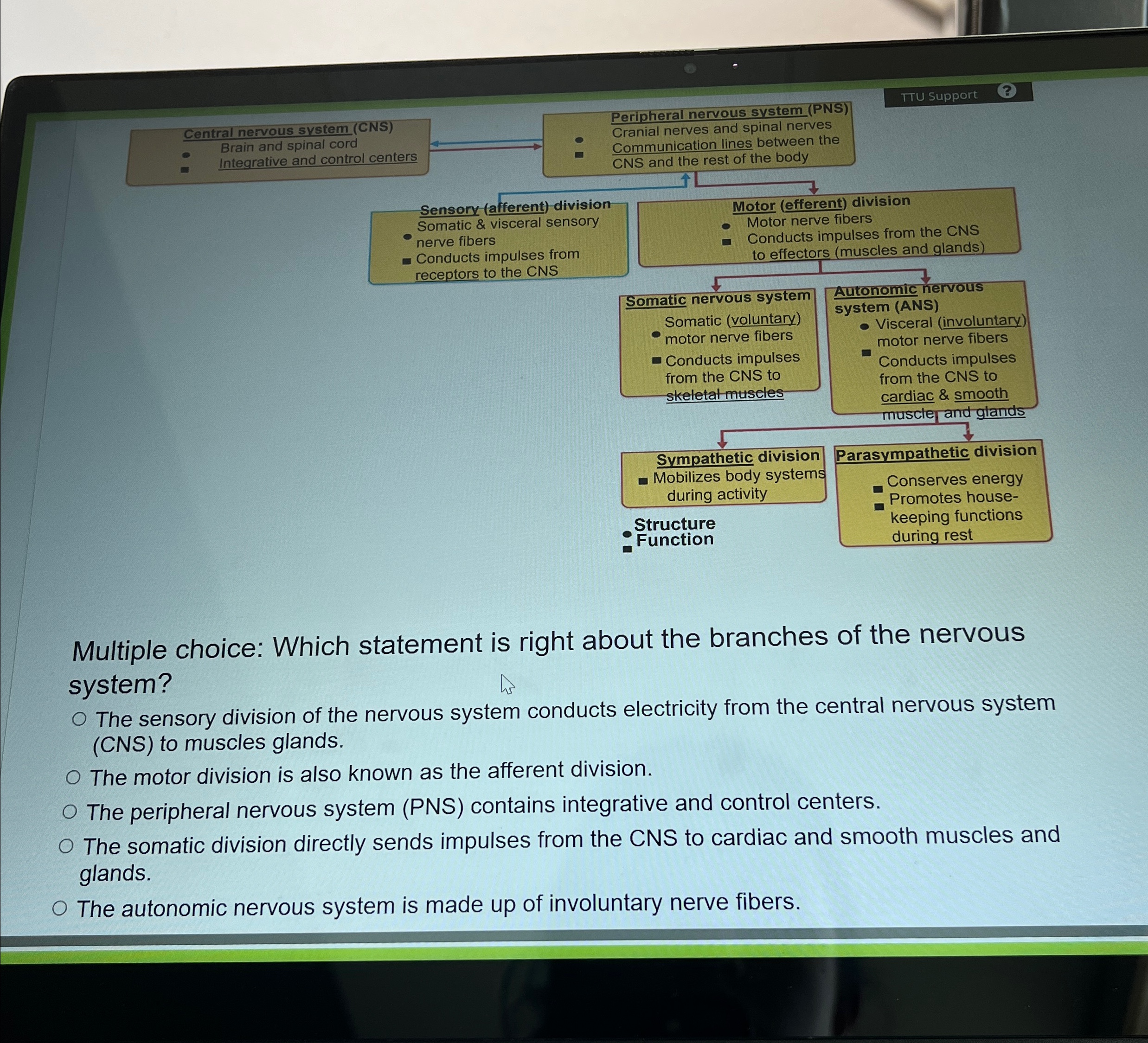 Solved TTU SupportCentral nervous system (CNS)Brain and | Chegg.com